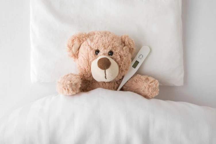 Bostonka – czym jest i jak leczyć chorobę bostońską? | Aptego.pl